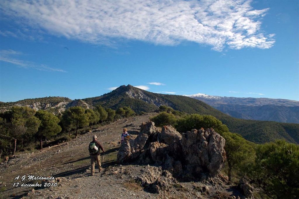 Senderos y paseos: Sendero Padul-Cruz de la Atalaya-Silleta del Padul ...