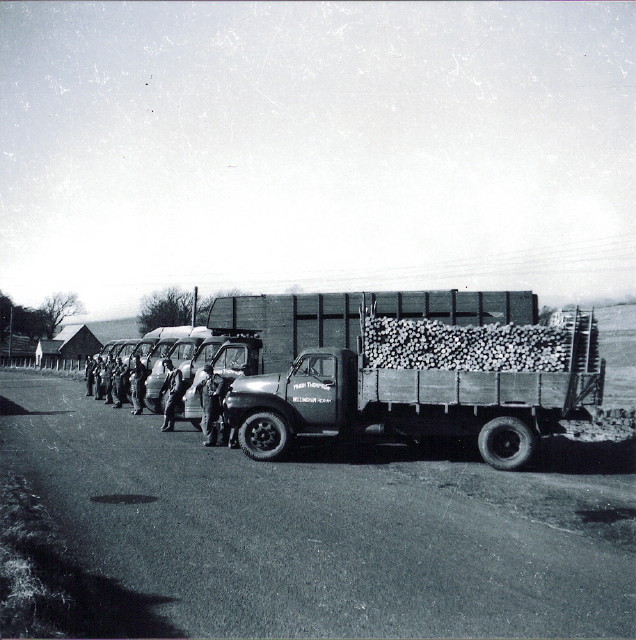Woolshed 1: Northumberland. North Tyne Haulage. Thompson's transport