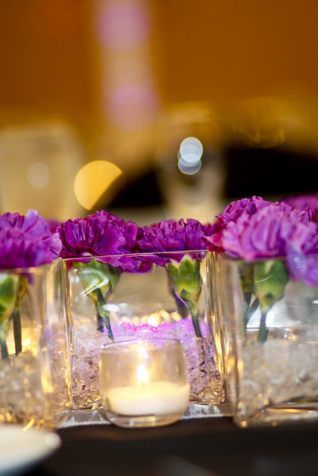 Kalyn Mann Photography: Jen Toohey & Nate Lyons