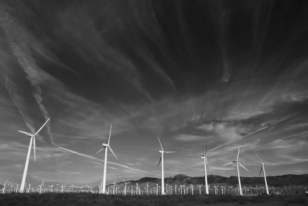 Giselle Fryatt Photography: Howling wind