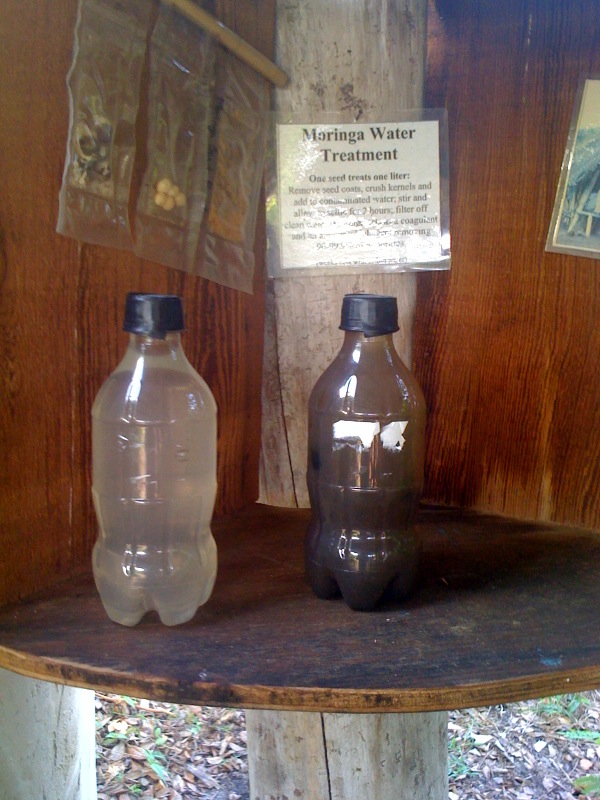 University Colloquium Journal: ECHO 3 Maringa