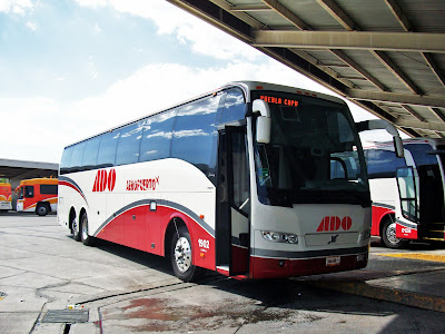 AUTOBUSES UNO Y VARIEDAD