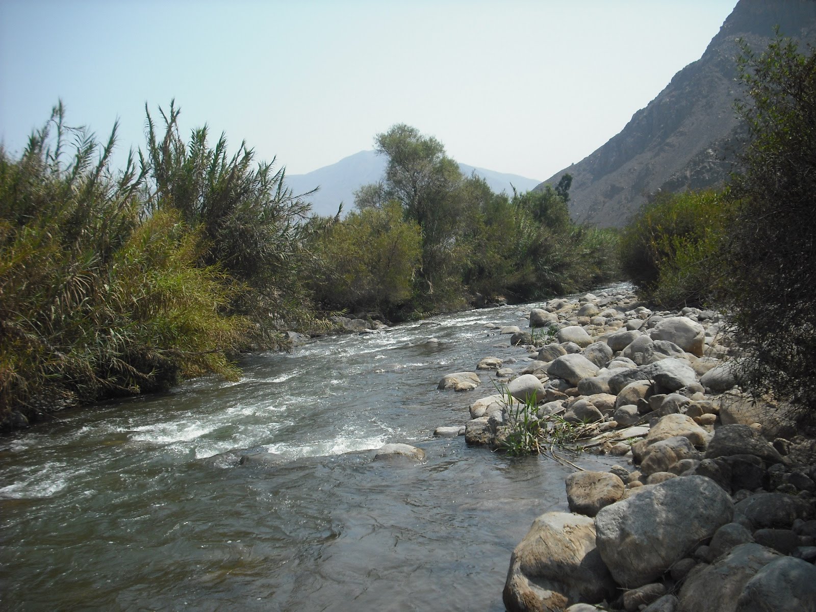 Bioturismo "Naturaleza": Yangas-Camping House