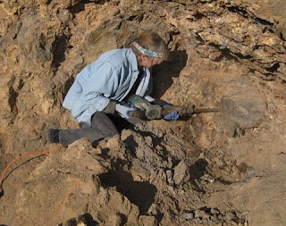 Oregon Sunstone: Juniper Ridge Opal Mine Dig! Aug. 31, 2008