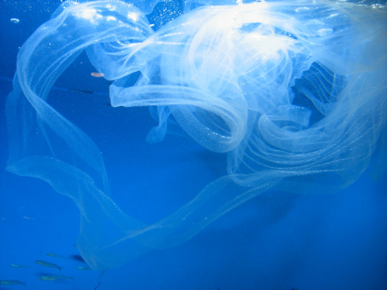 Exhibit Galleries Blog