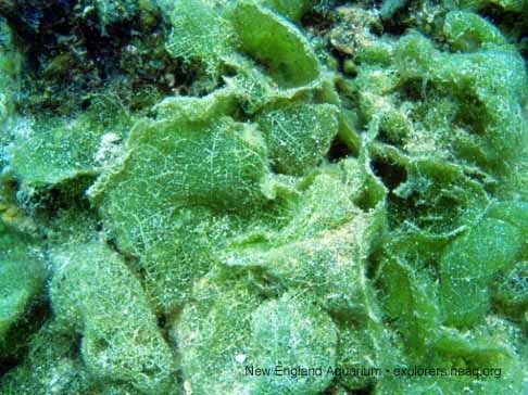 Global Explorers Blog