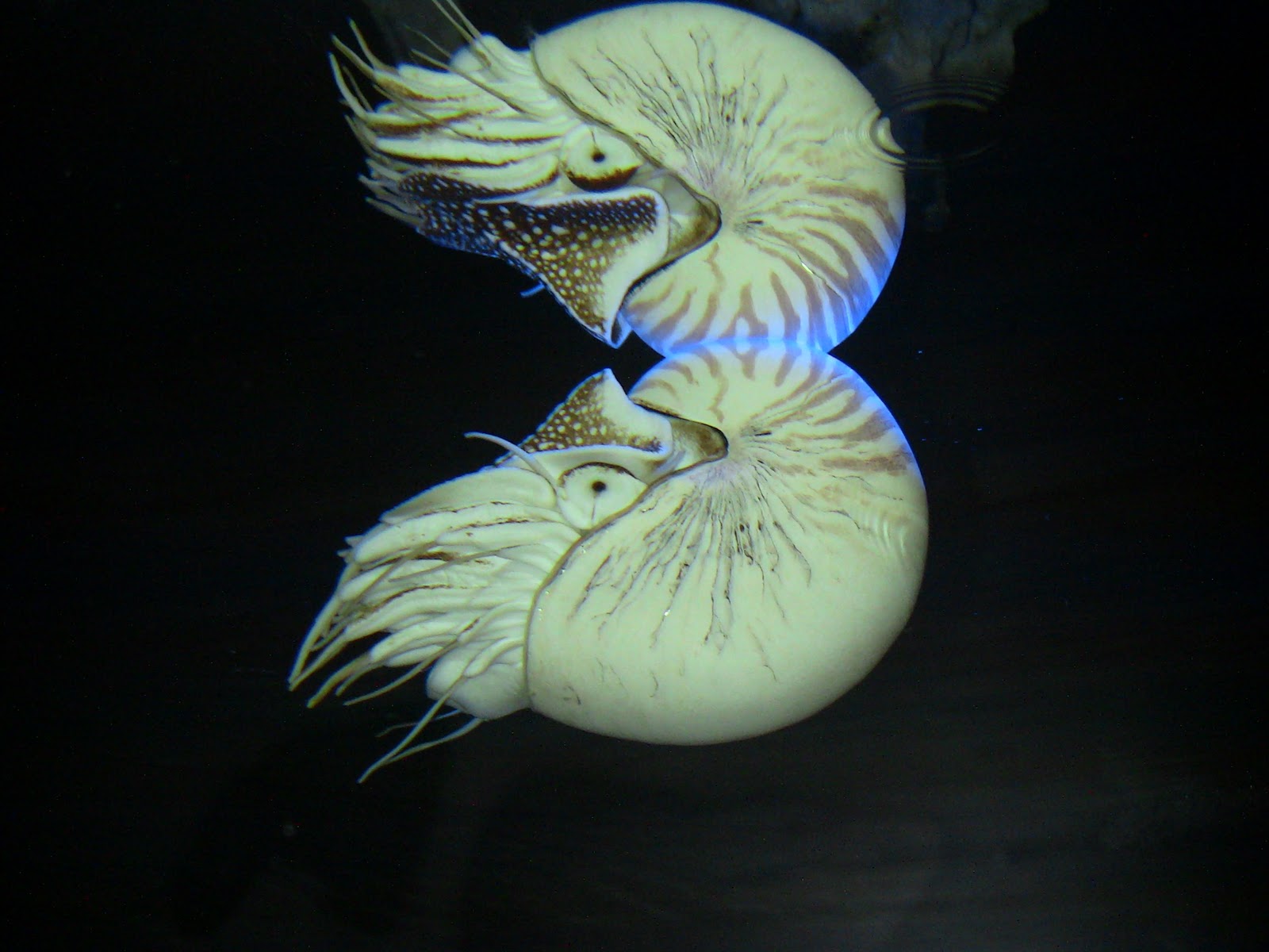 Exhibit Galleries Blog