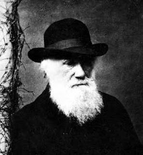 Experimental Theology: Darwin's Sacred Cause