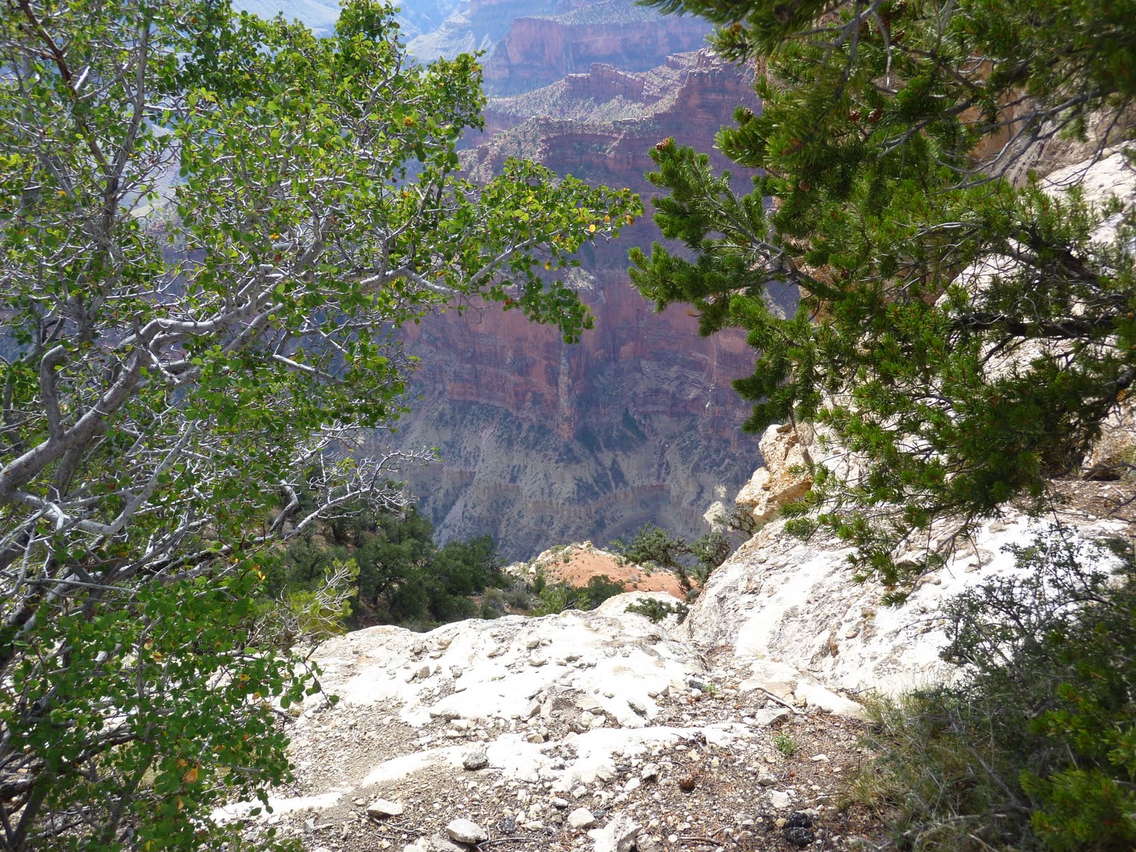 On the Road Again: Grand Canyon North Rim,Cameron Arizona