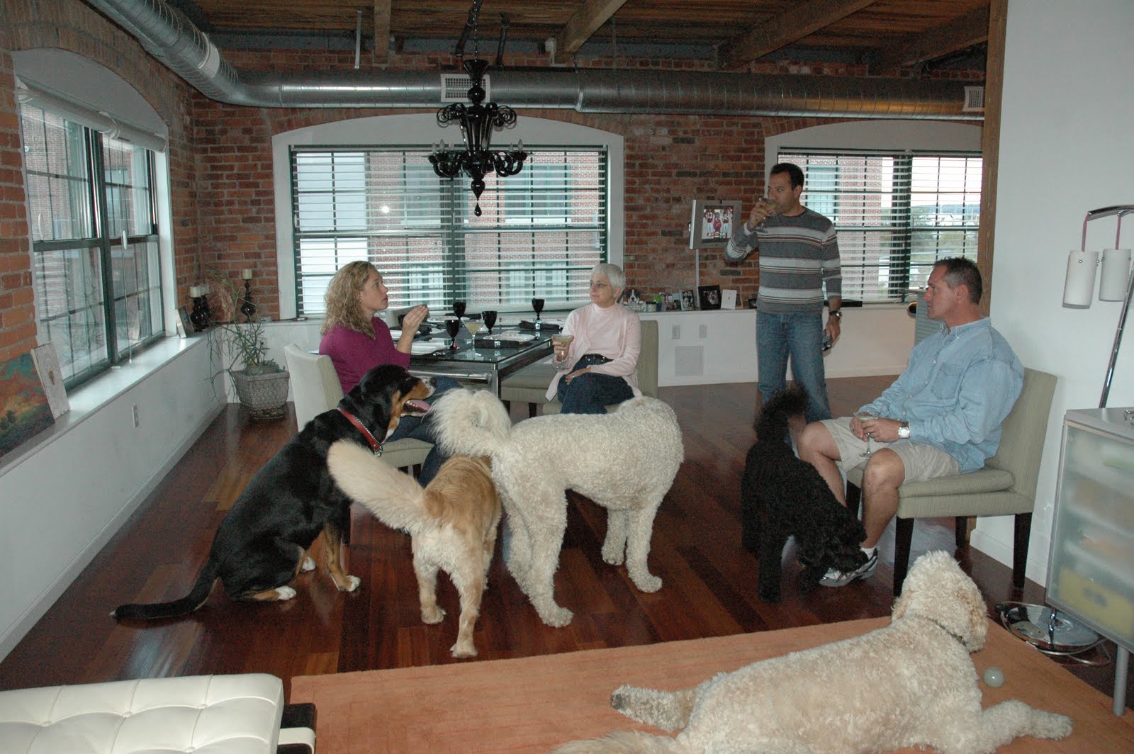 The Kourys, and Basel the Swissy