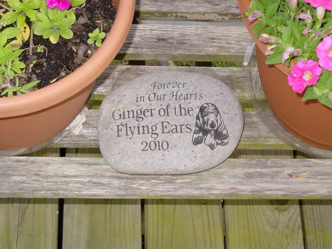 Ginger of the Flying Ears