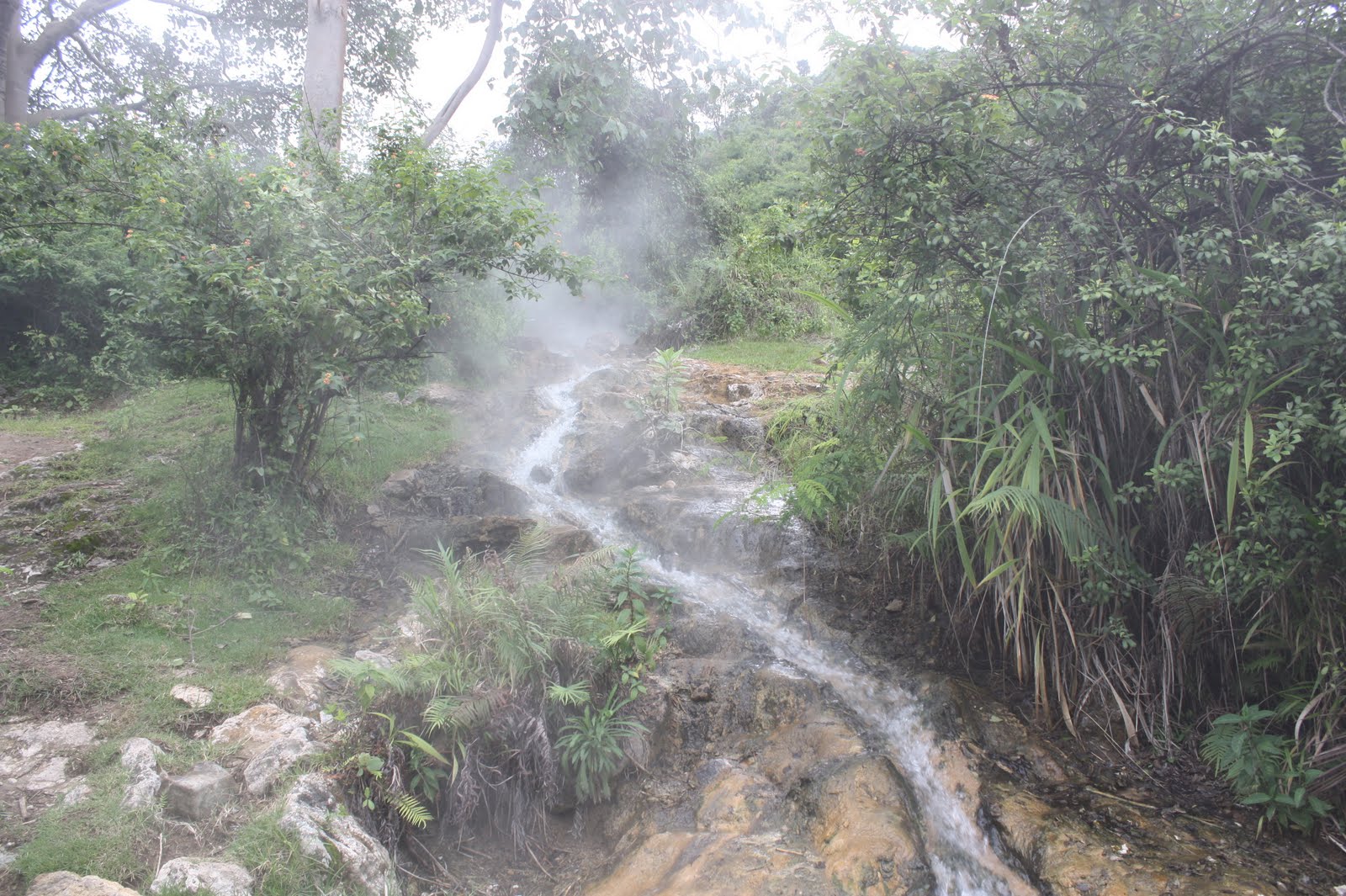 Our Vacation in Ethiopia 2010: Wondo Genet