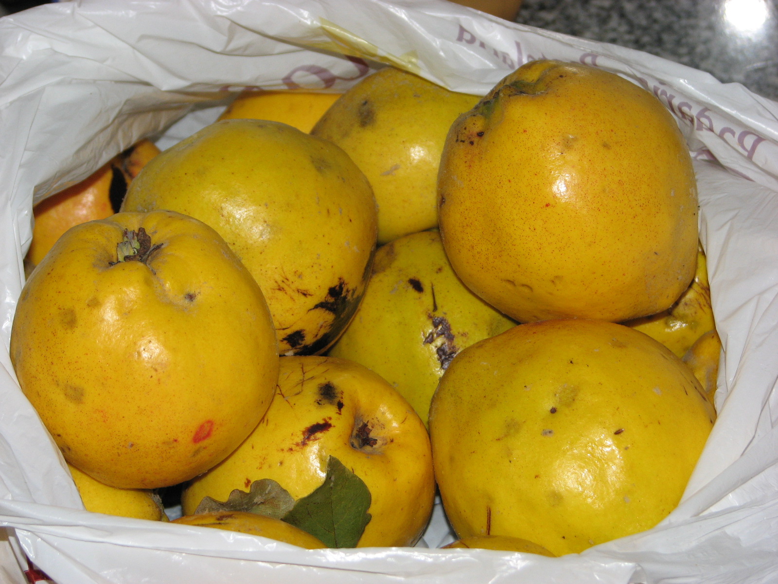 Em época de marmelos marmelada...