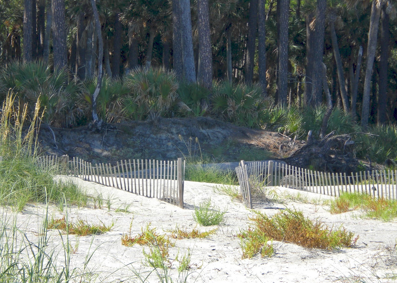 A.J.Barnes: September 2010