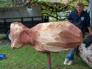 Wegener's Finless Frontier: New wood multi-fin fish