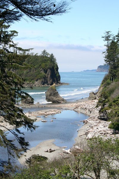 CJ's Art: Camping at the Hoh Rainforest and Visiting Ruby Beach WA