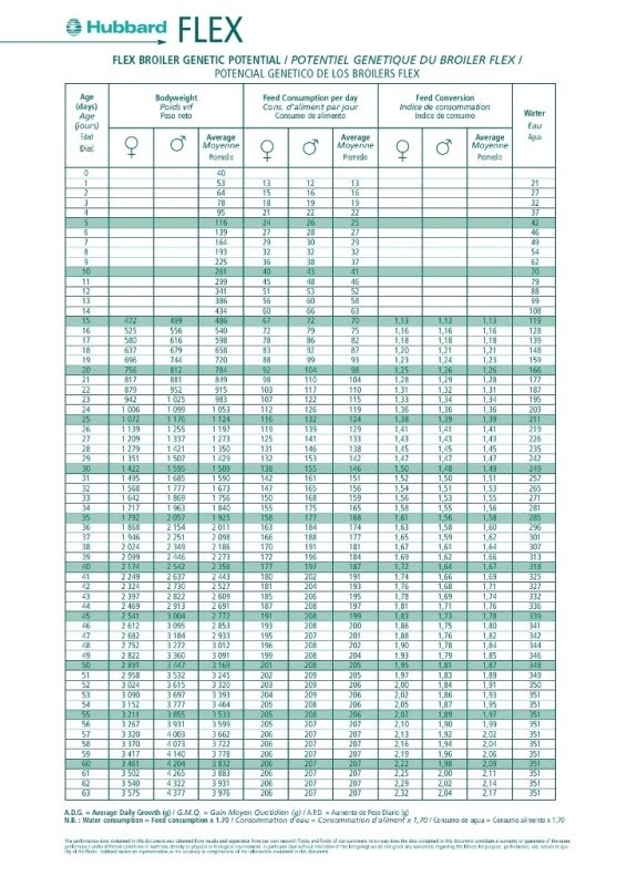 CV. MITRA UTAMA: HUBBARD FLEX BROILER STANDARD PERFORMANCE
