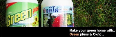 สวนสวยใน Condo | ชมรมสวนสวย (Garden Plus)