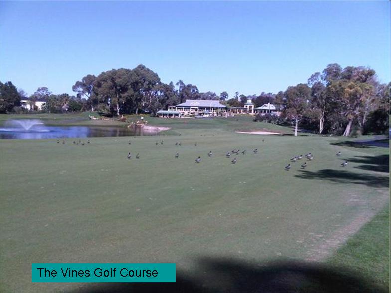 SETIAKAWANGOLF: SETIAKAWAN KE PERTH AUSTRALIA 3 – 10 MEI 2010