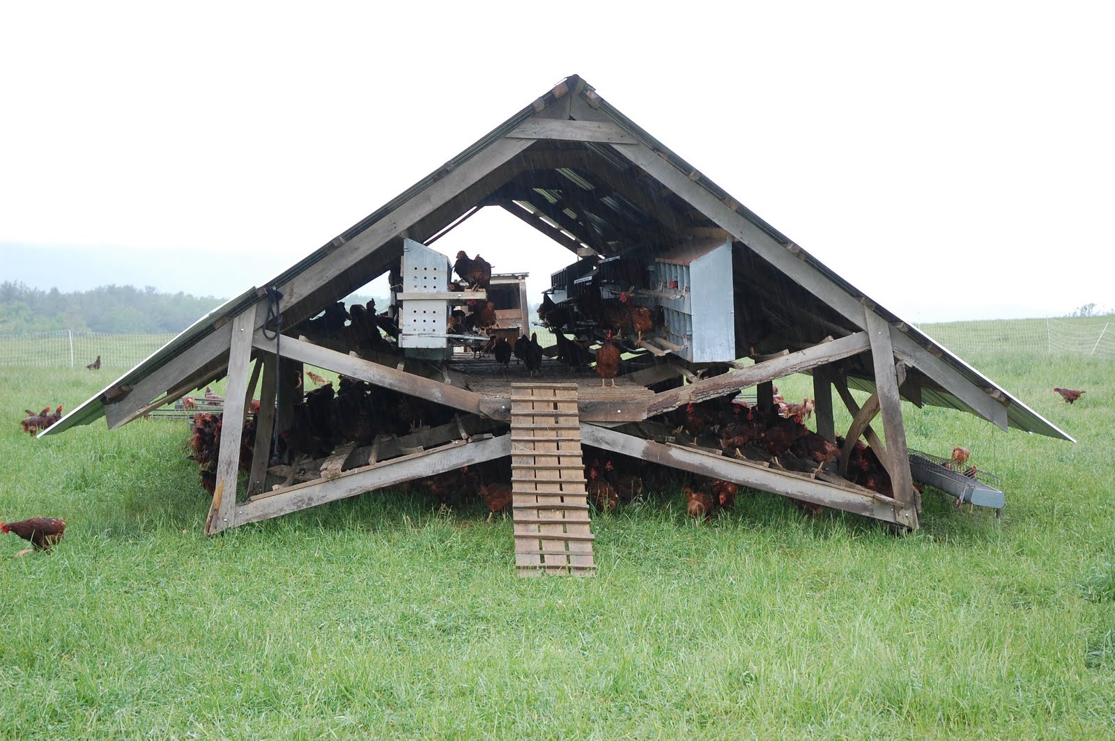 Jon Criss' Blog: Polyface Farm