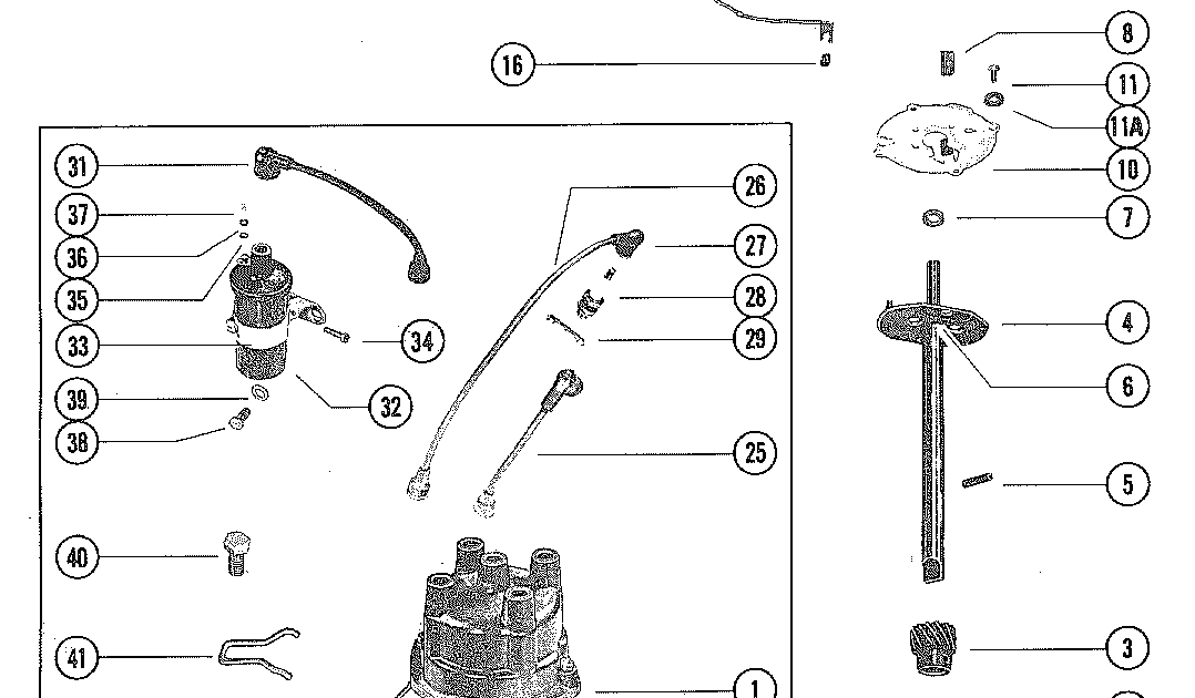 Parts Of A Distributor Assembly at Holly Brough blog