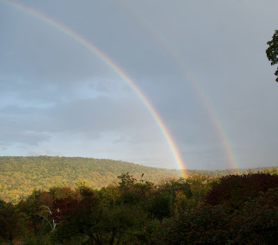 Flower Hill Farm: RAINBOW COLORS and a GARDEN PALETTE