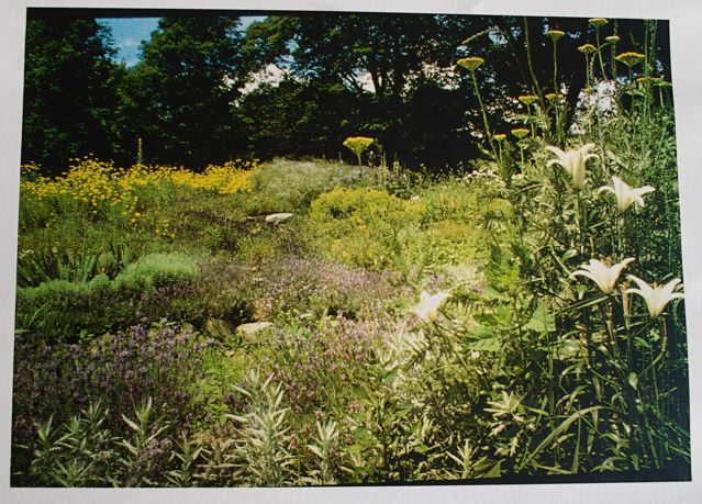 Flower Hill Farm: FLOWER HILL FARM BEGINNINGS