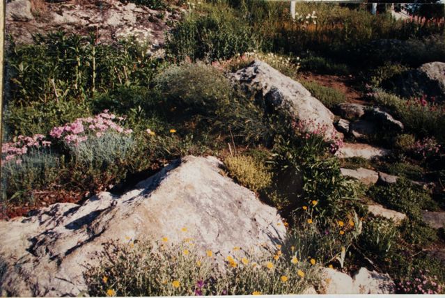 Flower Hill Farm: FLOWER HILL FARM BEGINNINGS