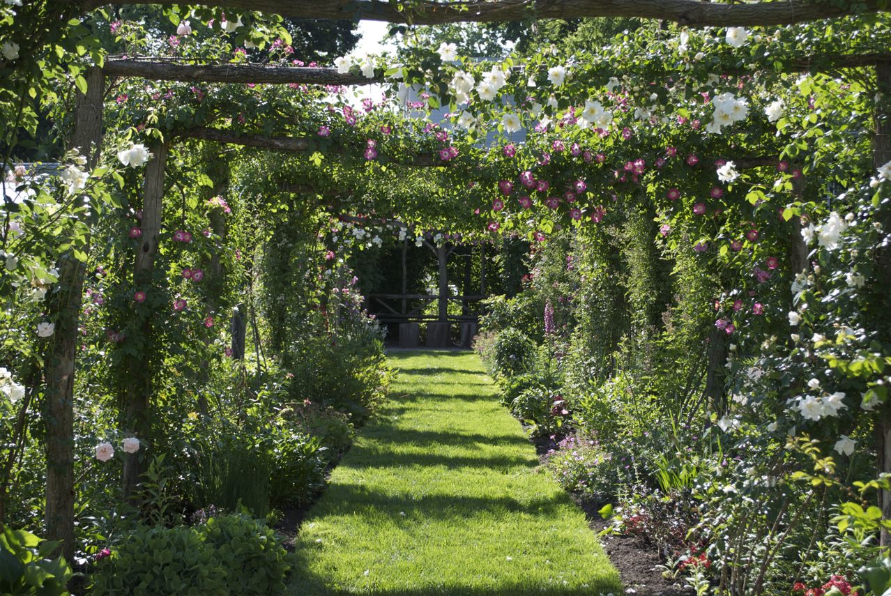 Flower Hill Farm: June 2010