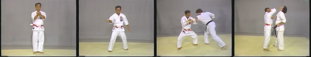 Martial Arts Wisdom: Isshin Ryu - Fundamentals & Katas vol. 1