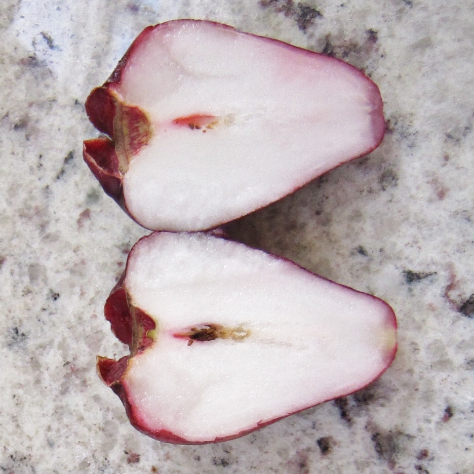 Multivias: Via Verde: Jambo, Uma Frutinha da Cor do Brasil