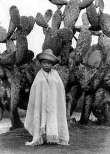 Nopalli-Nochtli (Salud milenaria con Nopal-Nochtli)