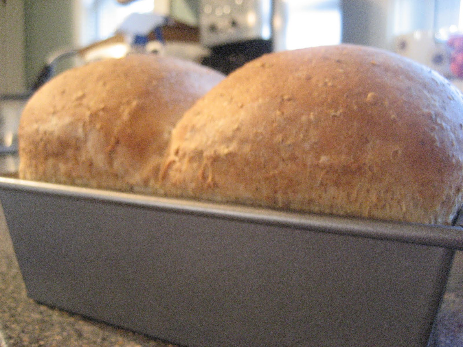 Sharing Bread...share a loaf, or half!