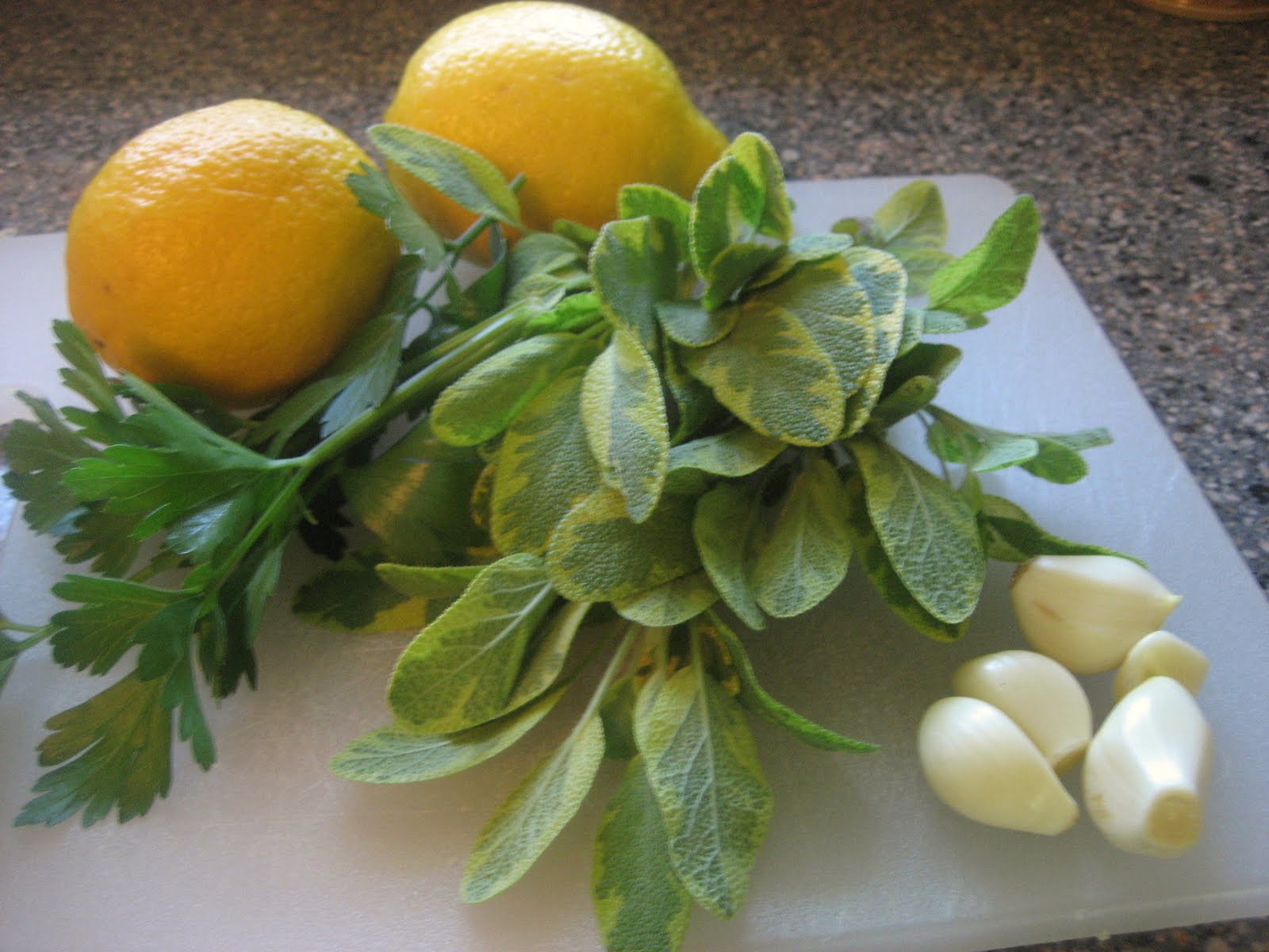 Lemon Sage Marinade and Chicken Zucchini Kabobs