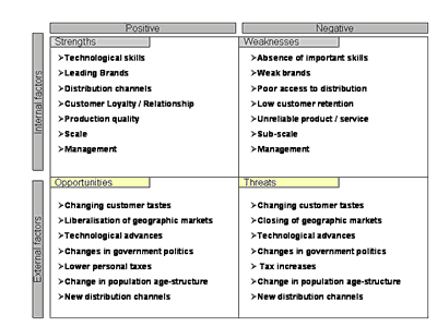 Internal Environmental Analysis: SWOT Analysis (Strategy)