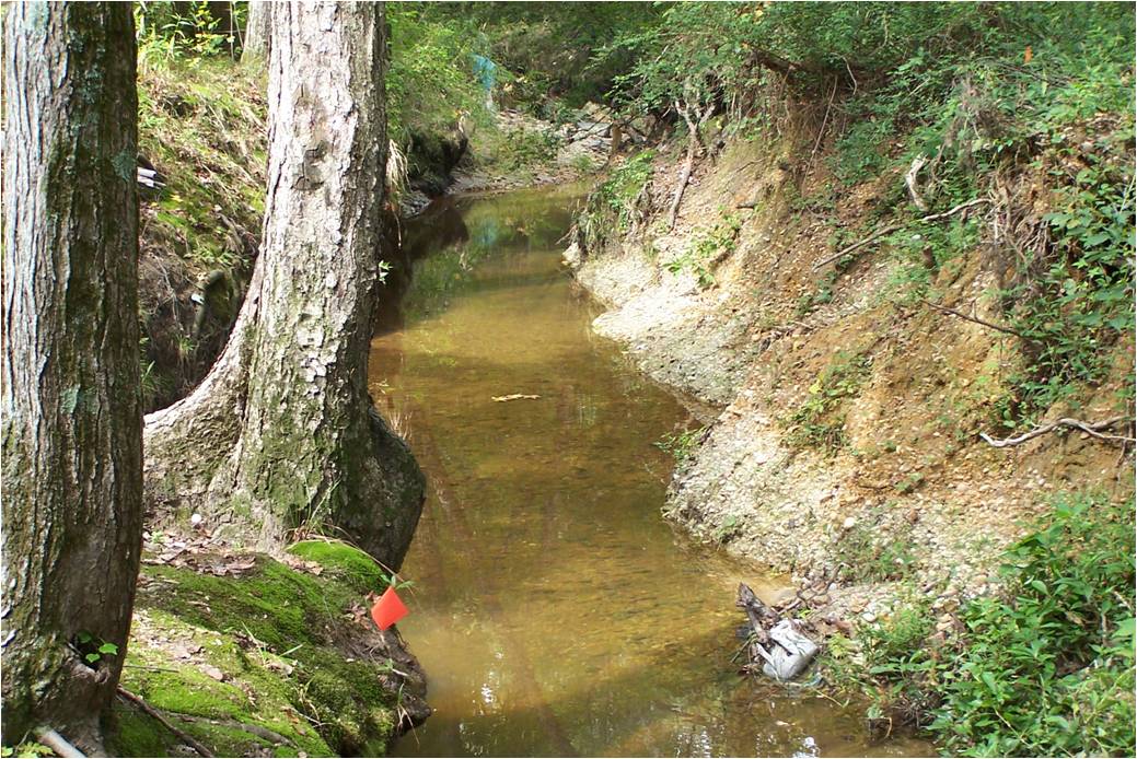 Stream Habitat Management: Two projects