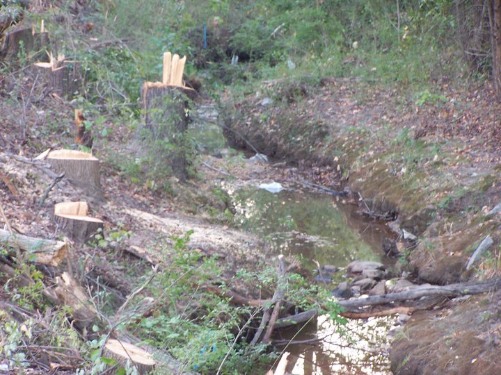 Stream Habitat Management: Urban Stream Restoration