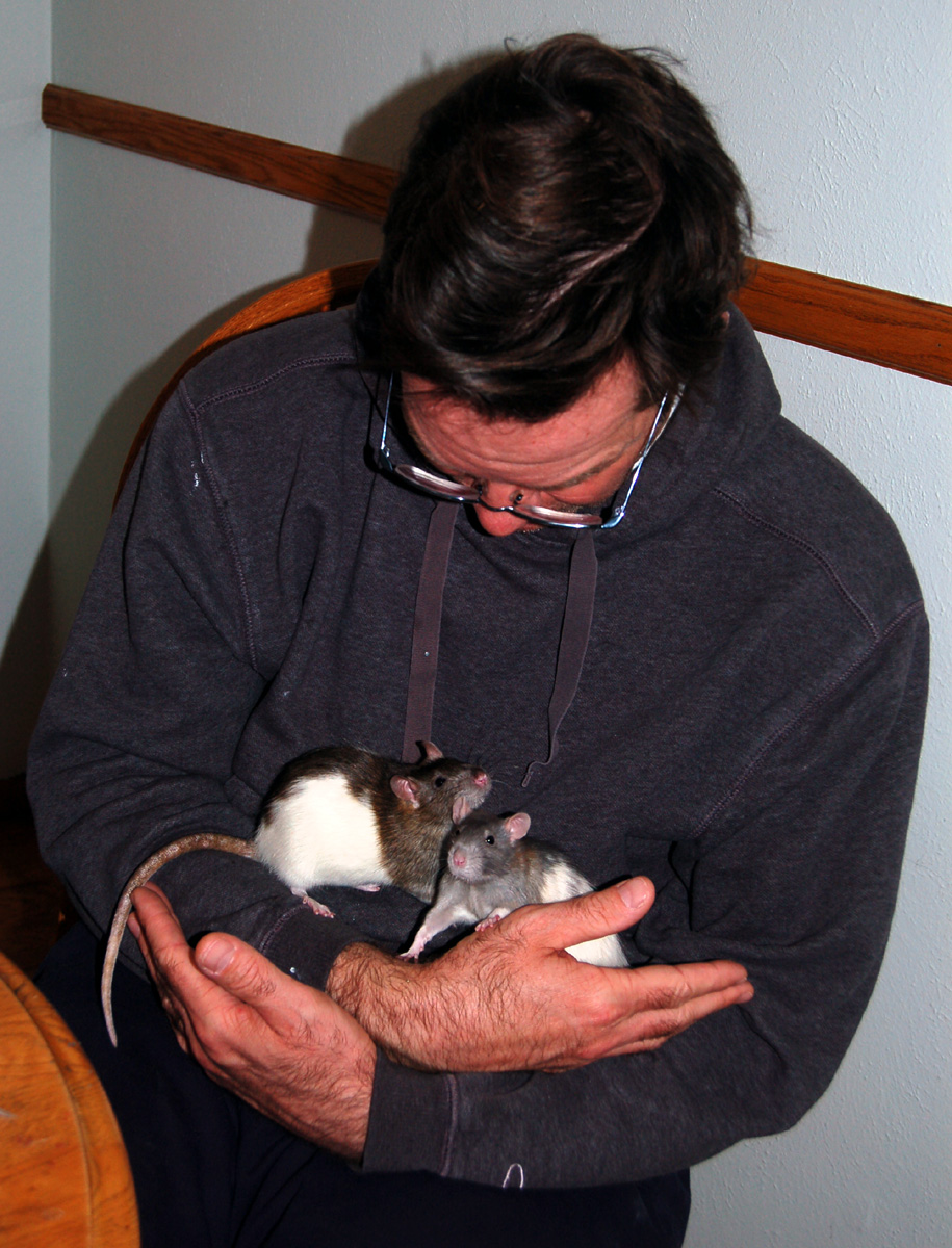 Jennifer's Photo Blog: The rats have taken over