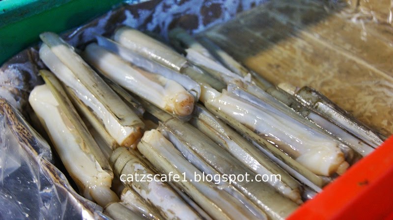 Catz's Cafe: Crystal Bay, Melaka