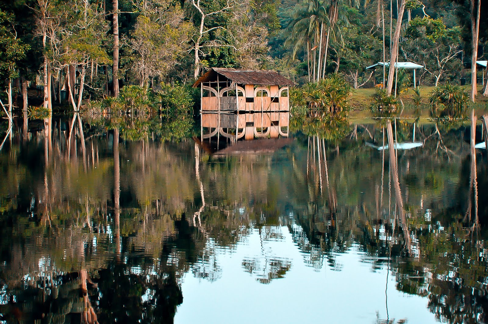 Mnzx: Tasek Merimbun