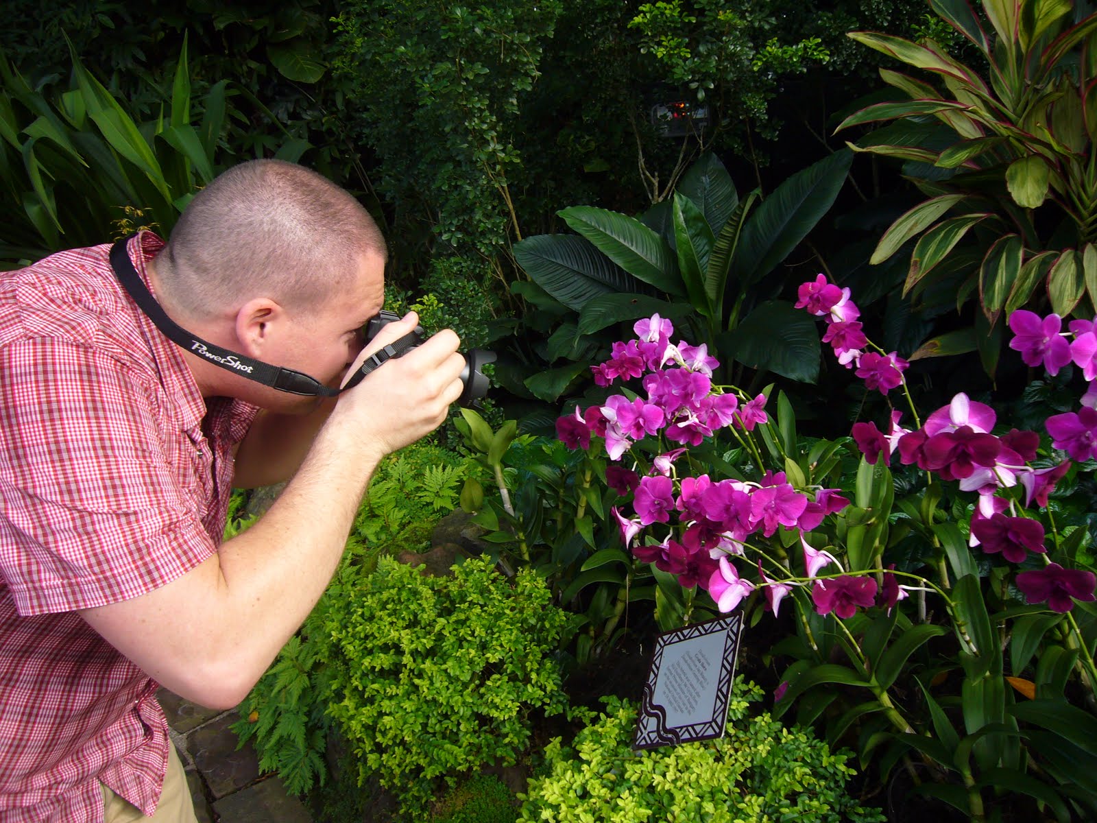 A Hop, Skip, and a Jump: We're Orchid Hunters Too!