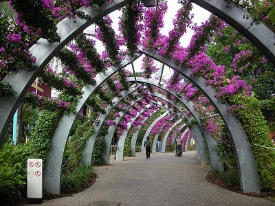 Brisbane: The Arbour walk at South Bank