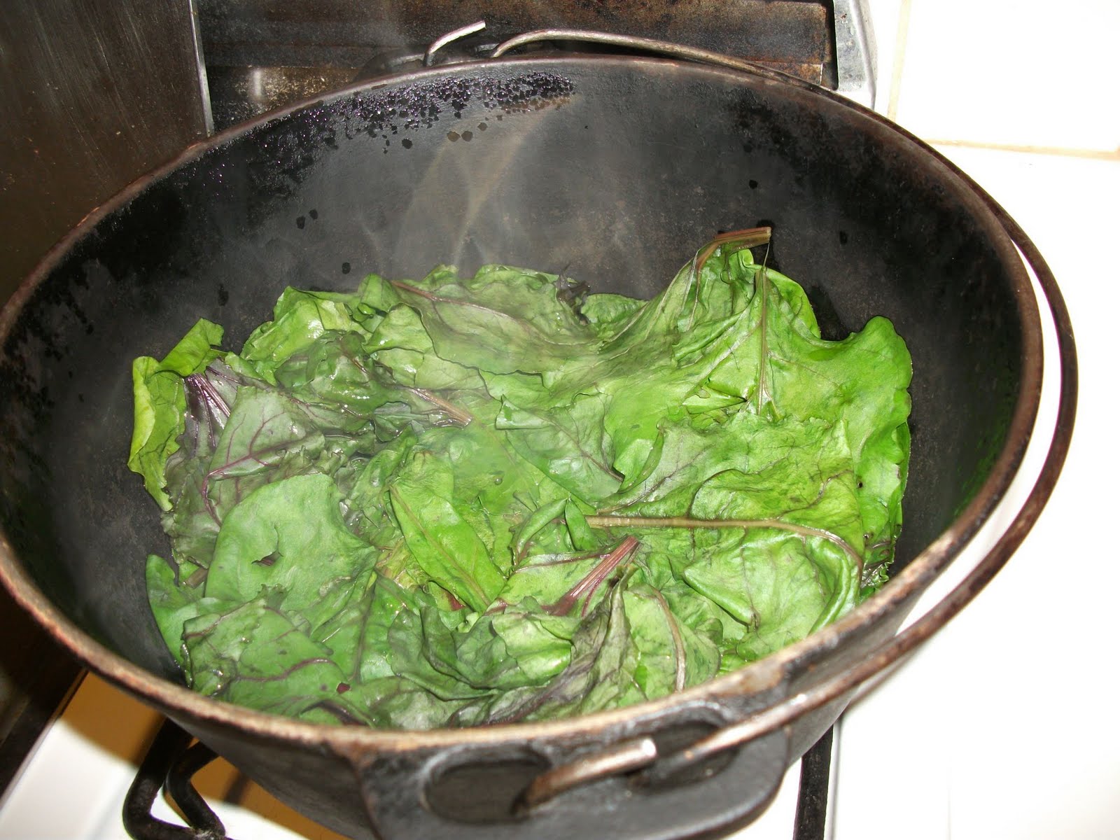 cook out of the box: Focus: BEETS (Beta Vulgaris)