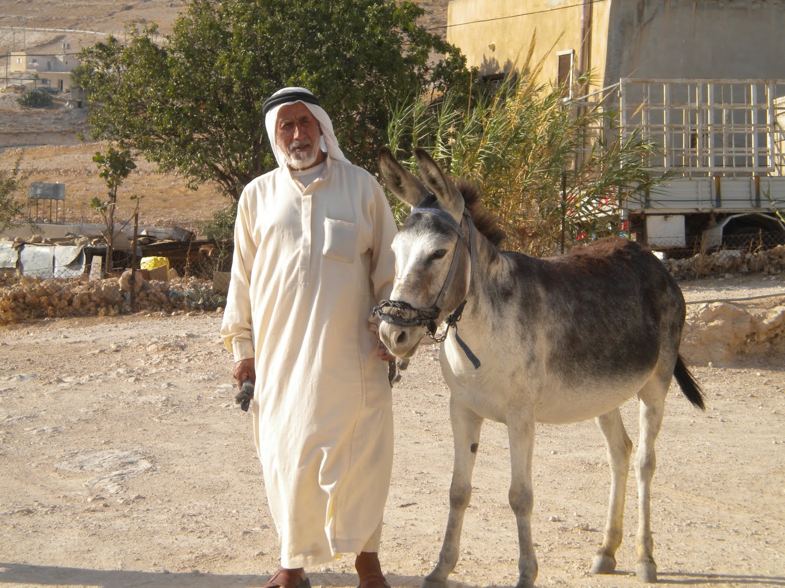 Alli in Palestine: Donkey treatment excursion