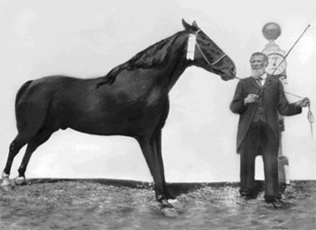 The Mist Trilogy: JIM KEY - Trained with Kindness