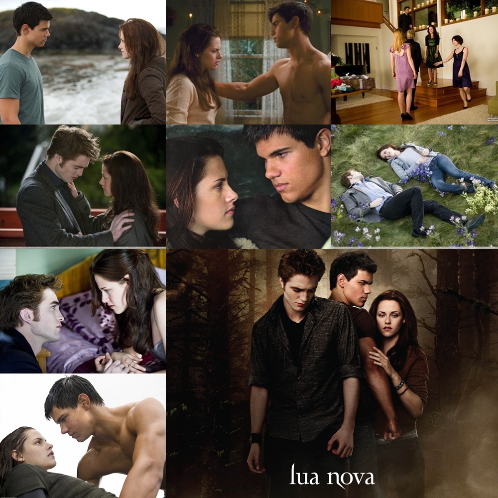 Lua Nova: flor da capa aparece no filme