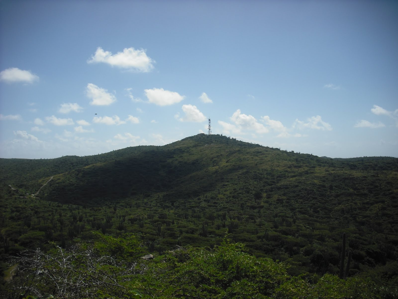 Jamanota - JungleKey.nl Afbeelding