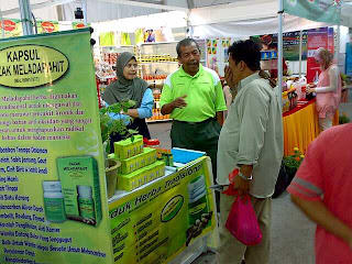 RAZAK MELADAPAHIT : HERB CAPSULE FOR HEALTH: MELADA PAHIT ( JAVA BRUCEA ...