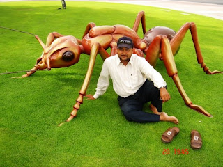 oasis dubai: Tango with Giant Ants