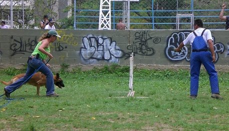 Parque Teque Teque: Usuarios y actividades